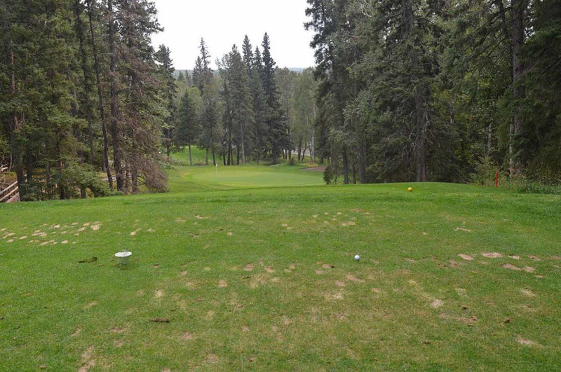 No Hole In One This Year . . . So Far - GolfBuzz